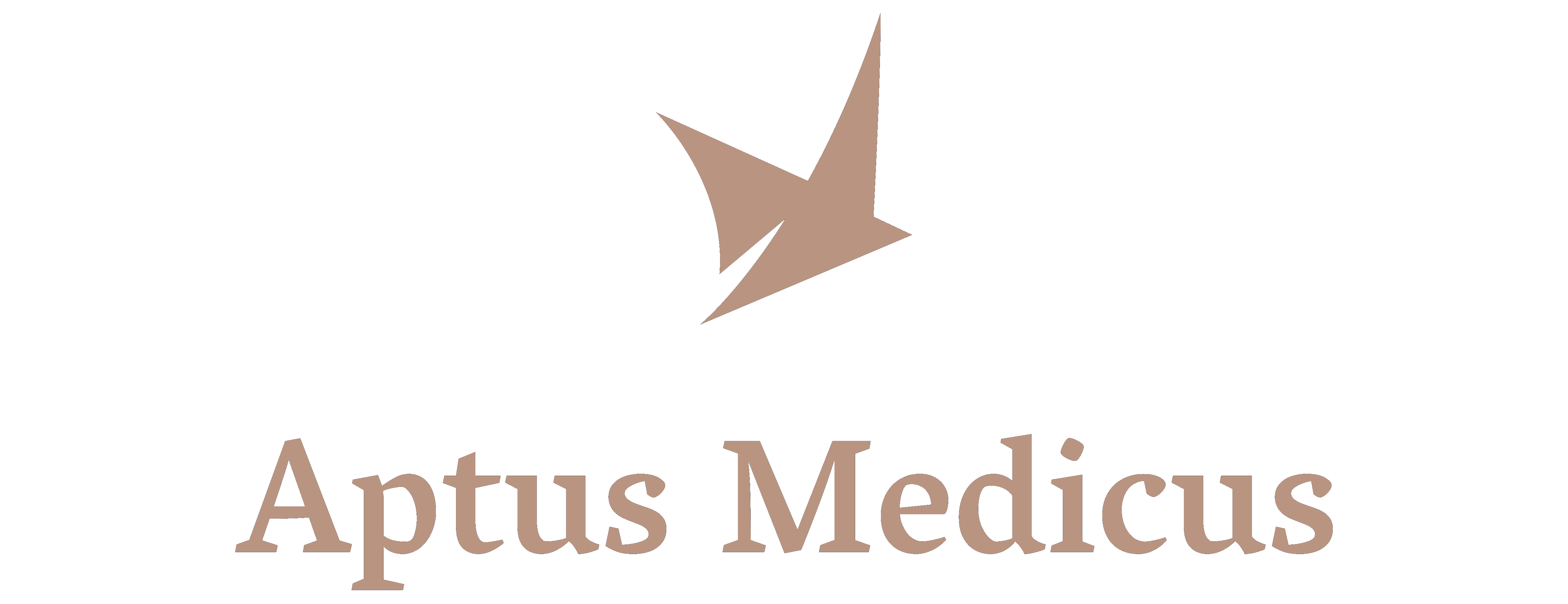 About | Tailored Secretarial Support for Consultants, Excellence in ...